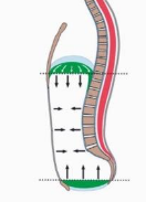 The biggest injury factor for runners is...posture. | Advanced Kinetics ...